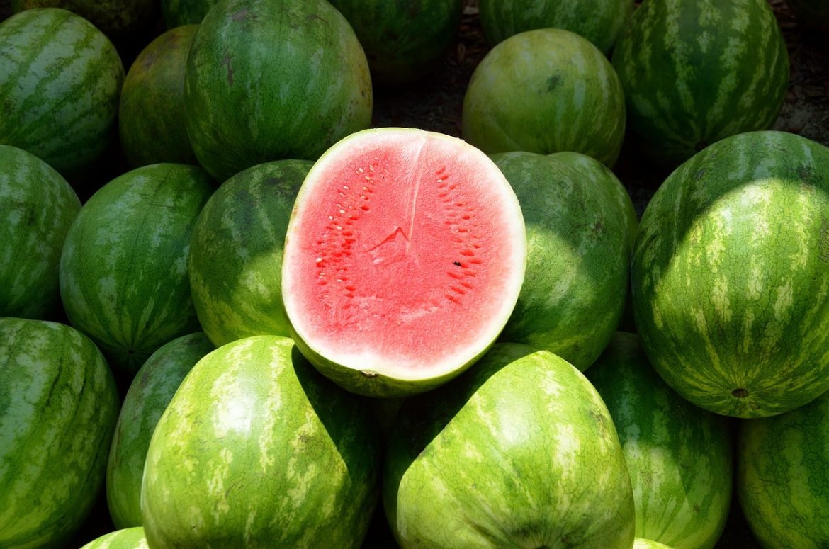 Comment planter des graines de pastèque dans son jardin ? - Lovimo